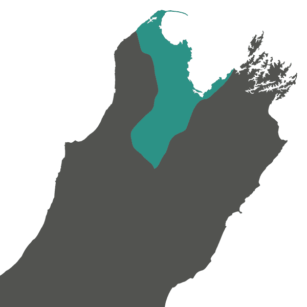 Nelson | House of Science